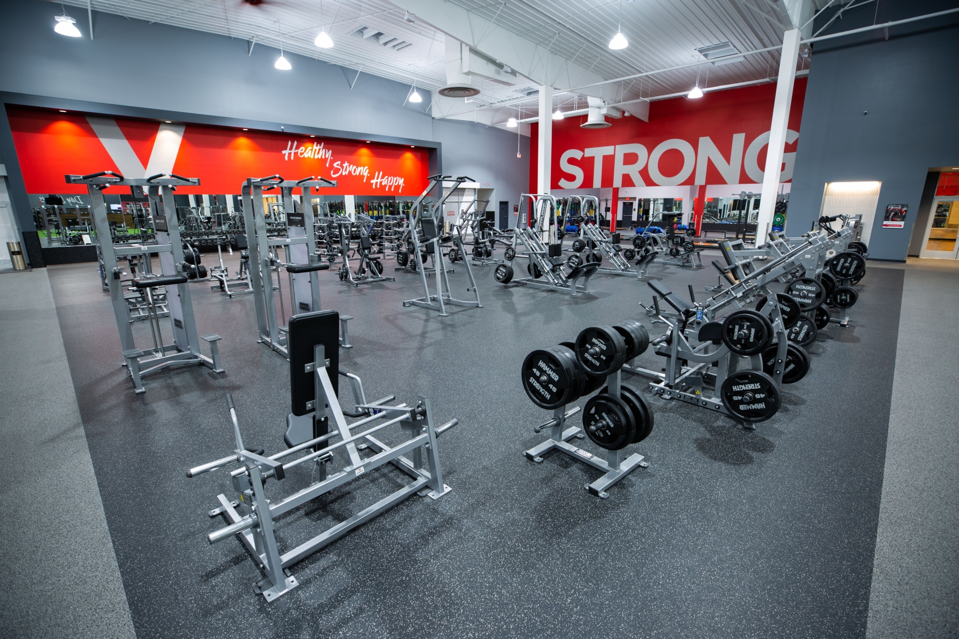 How to Use Arsenal’s Lower Body Equipment - VASA Fitness